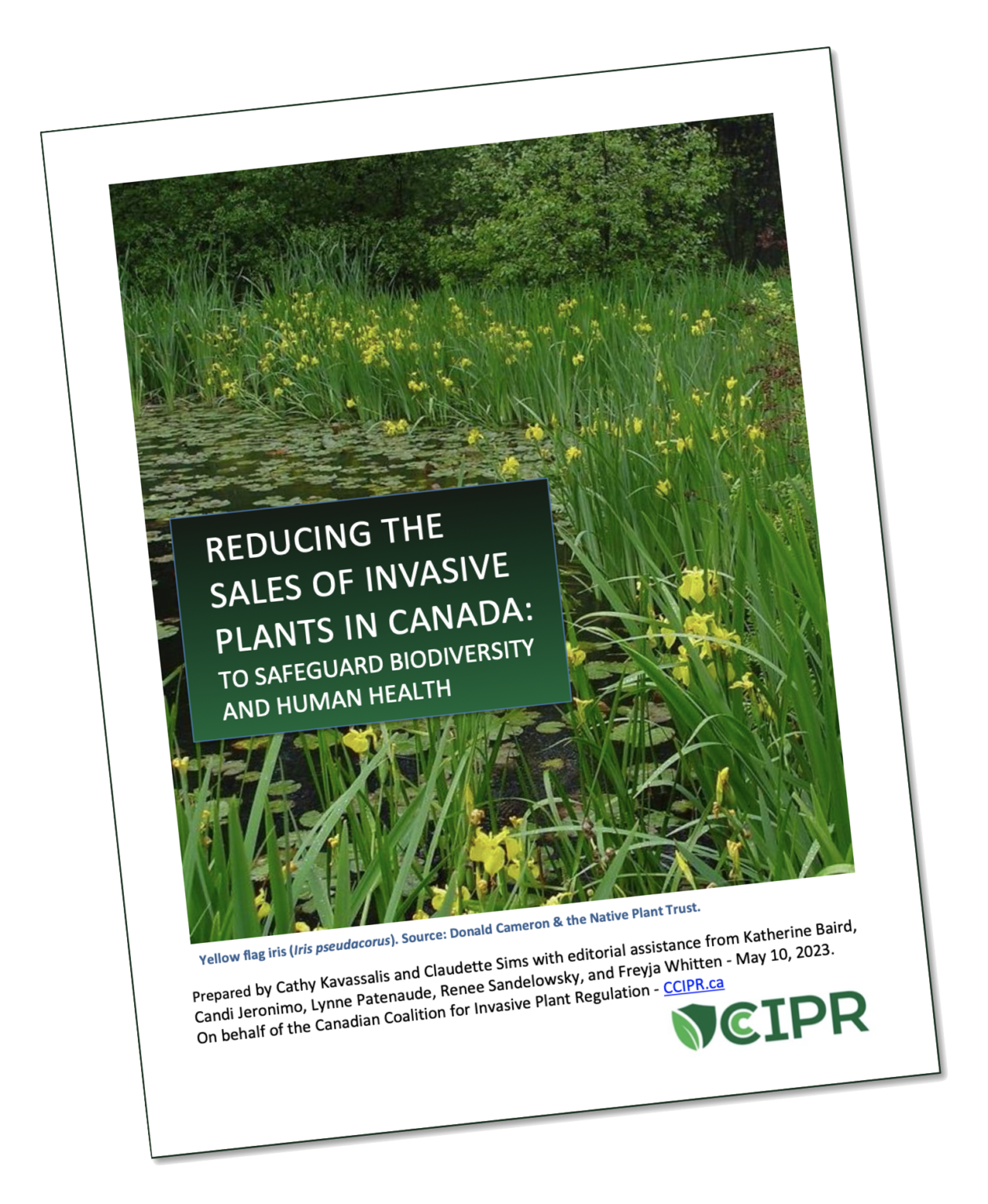 Canadian Coalition for Invasive Plant Regulation – urgent action to ...